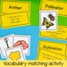 Stages of Insect Pollination Sequence and Fold Science Activity Cut ...