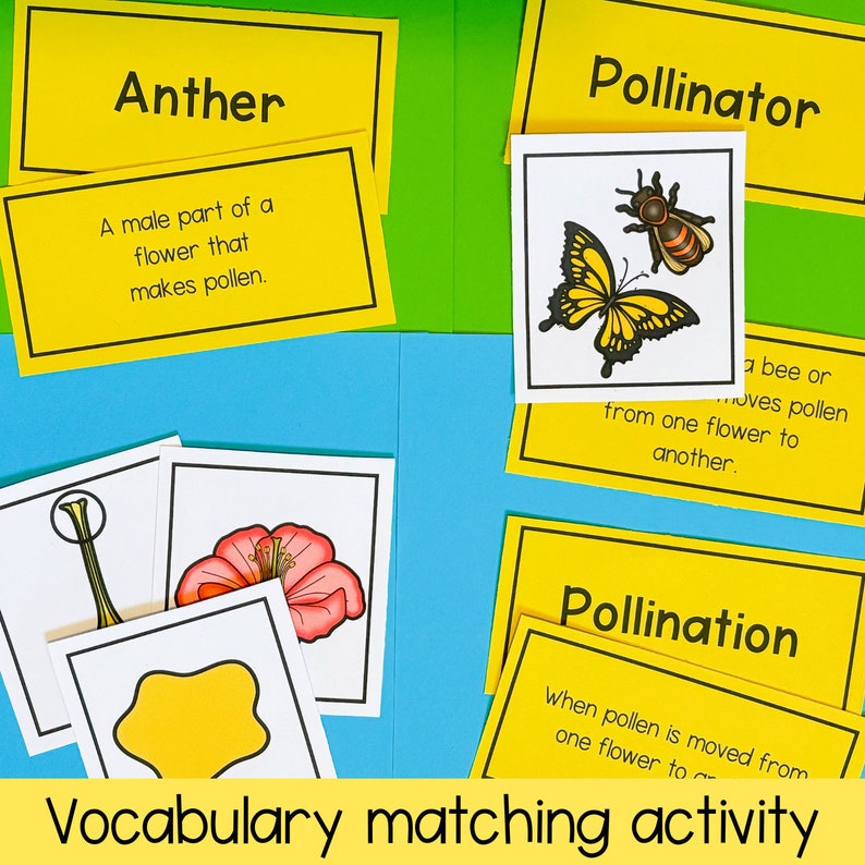Stages of Insect Pollination Sequence and Fold Science Activity Cut ...