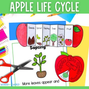 Apple Tree Life Cycle Foldout and Spinner Wheel Craft Activity Cut and ...