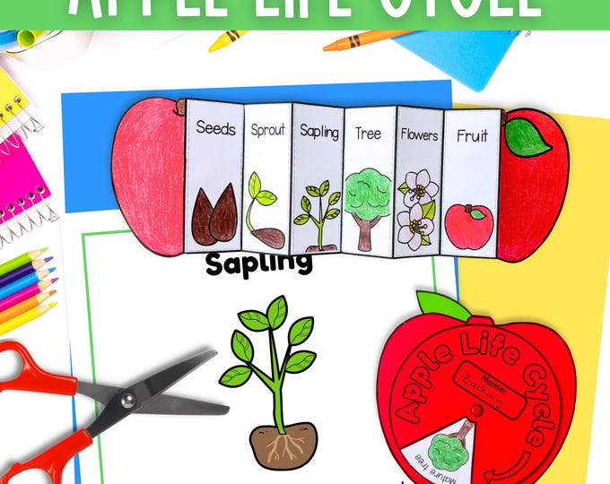 Apple Tree Life Cycle Foldout and Spinner Wheel Craft Activity Cut and ...