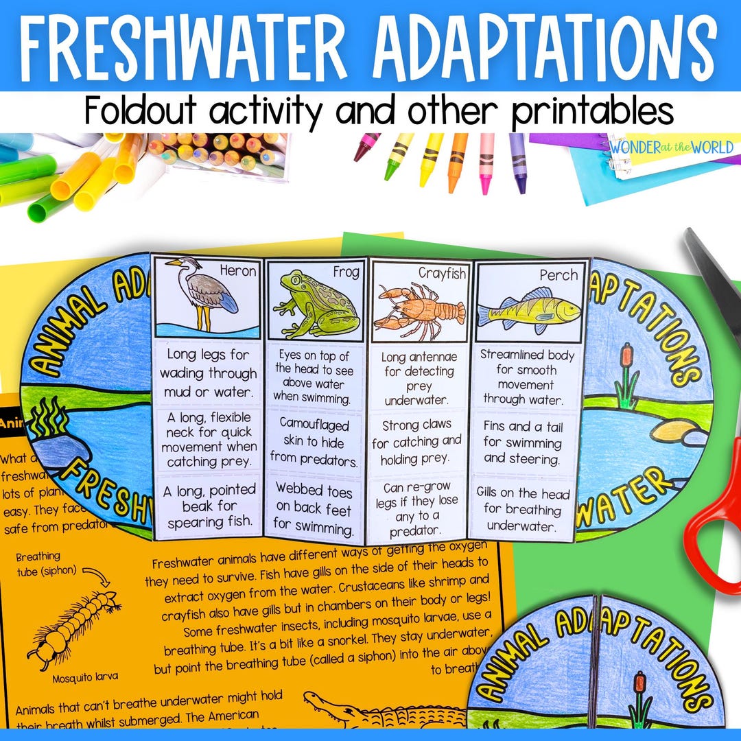 Animal Adaptations Freshwater Habitats Foldout Cut and Paste Activity ...