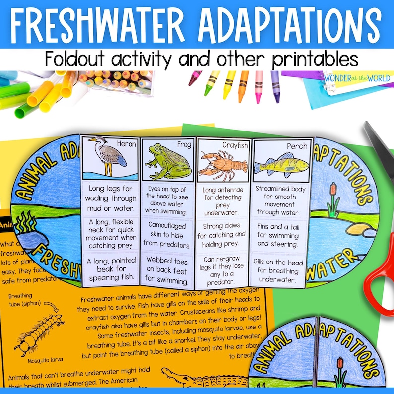 Animal Adaptations Freshwater Habitats Foldout Cut and Paste Activity ...