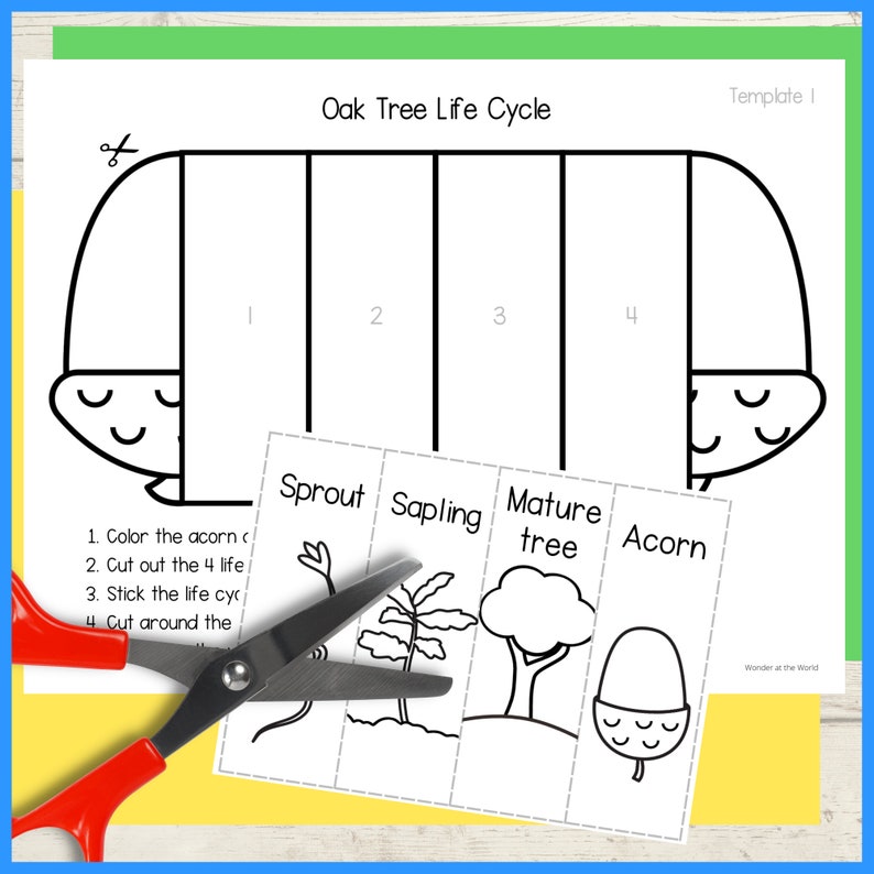 Fall Autumn Plant Life Cycles Foldable Science Activities Apple Pumpkin ...