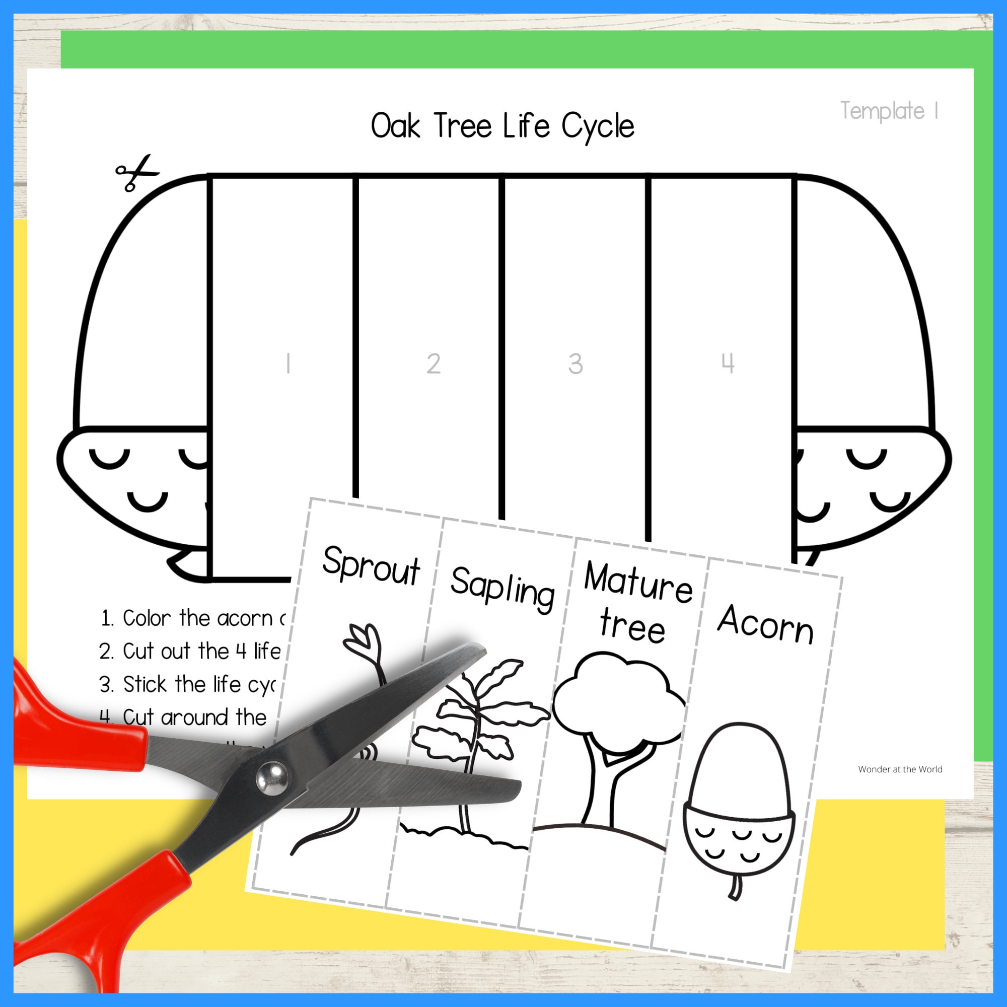 Fall Autumn Plant Life Cycles Foldable Science Activities - Etsy UK