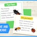 Minibeast Classroom Science Display Printables for Teachers | UK and US ...
