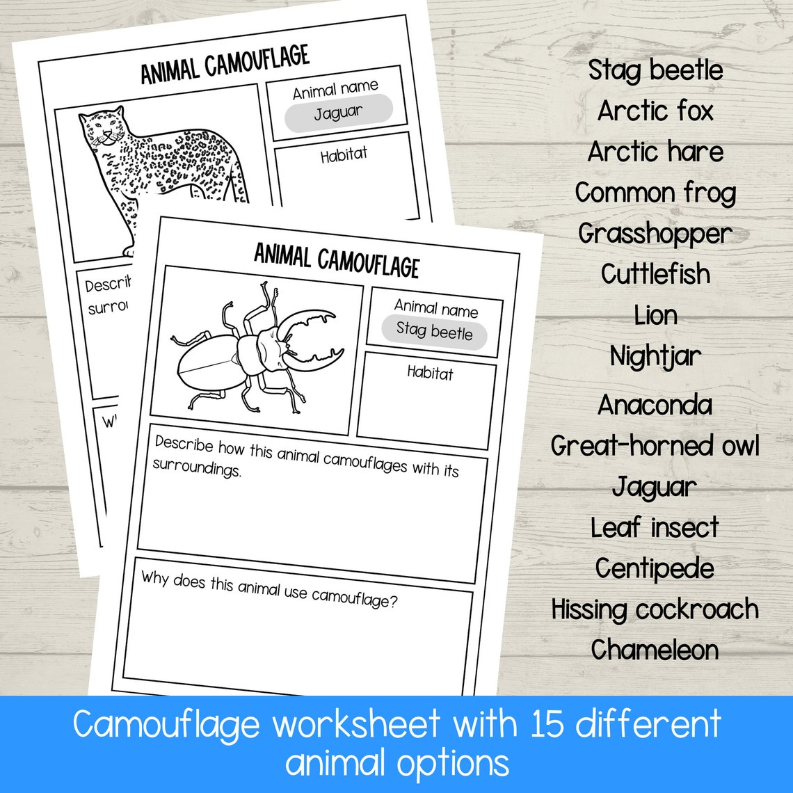 Animal Camouflage Science Lesson Powerpoint Google Slides Presentation ...