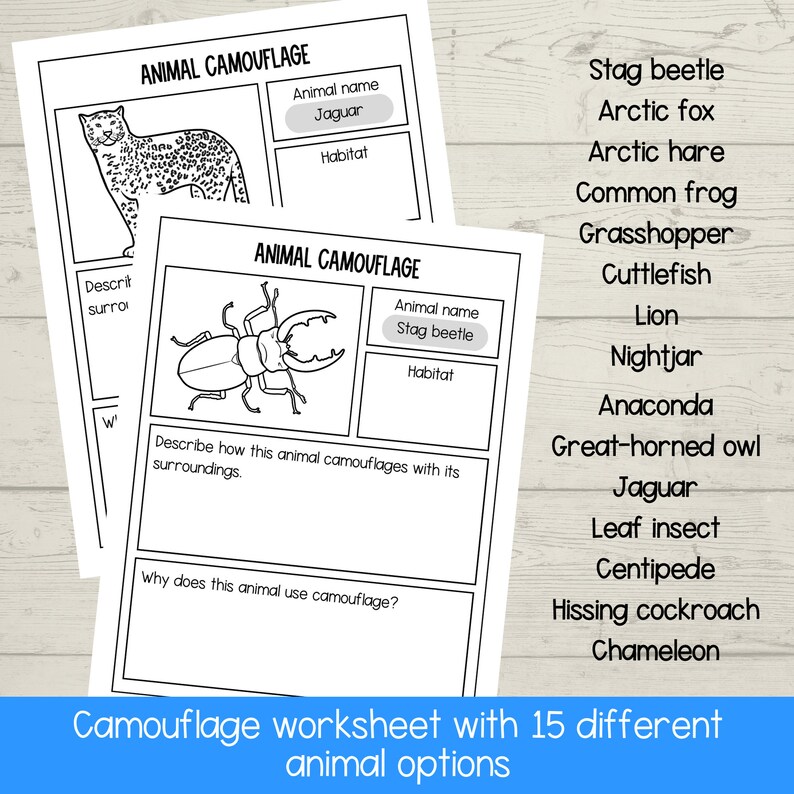 Animal Camouflage Lesson Activities Powerpoint Google Slides ...