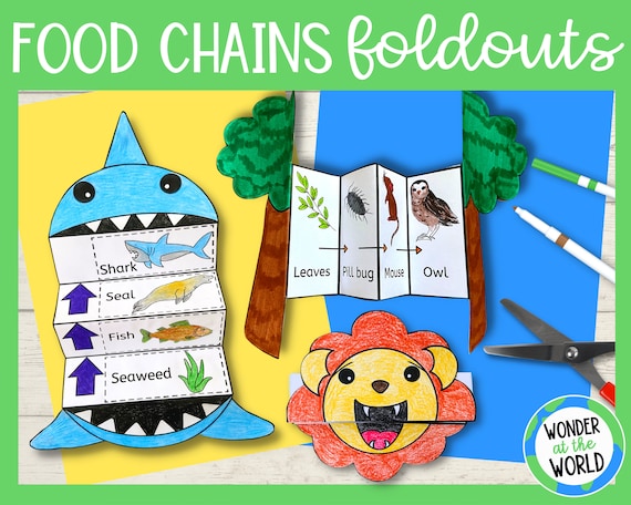 Owl Food Chain Activity