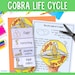 Plants Life Cycles Foldable Science Activities | Apple Pumpkin ...