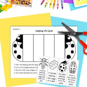 Life Cycle of a Ladybug Ladybird Sequence and Fold Kids' Science Craft ...