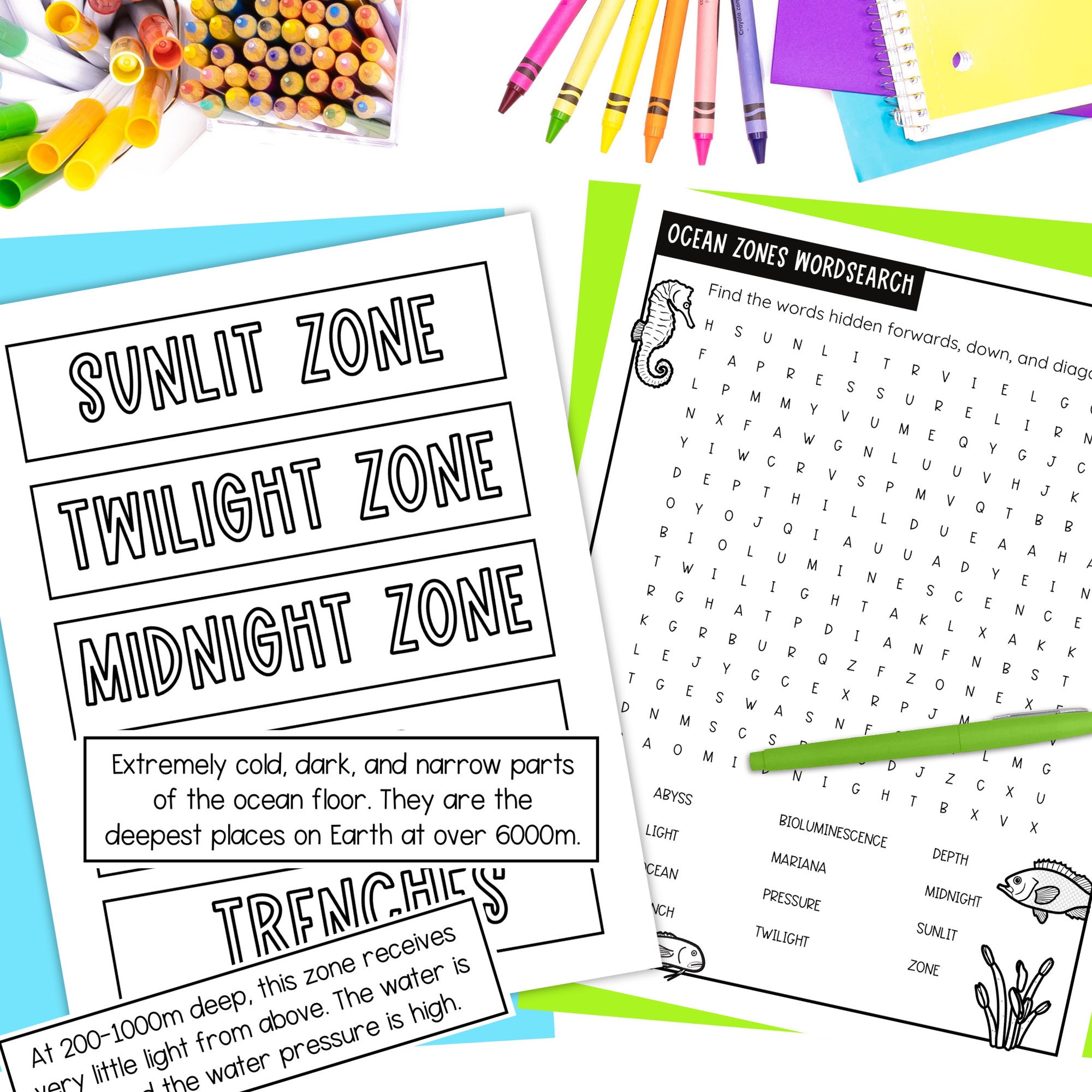 Ocean Zones Lesson With Slideshow Introduction and Foldable Activity ...