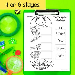 Life Cycle of a Frog Foldable Kids' Craft | A4 and 11x8.5 Inch ...