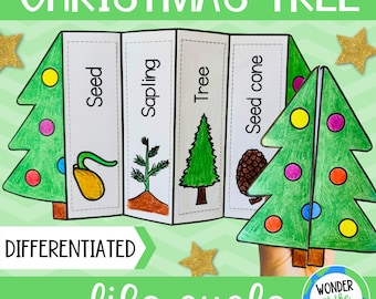 All About Trees and Leaves Investigation Science Center for - Etsy