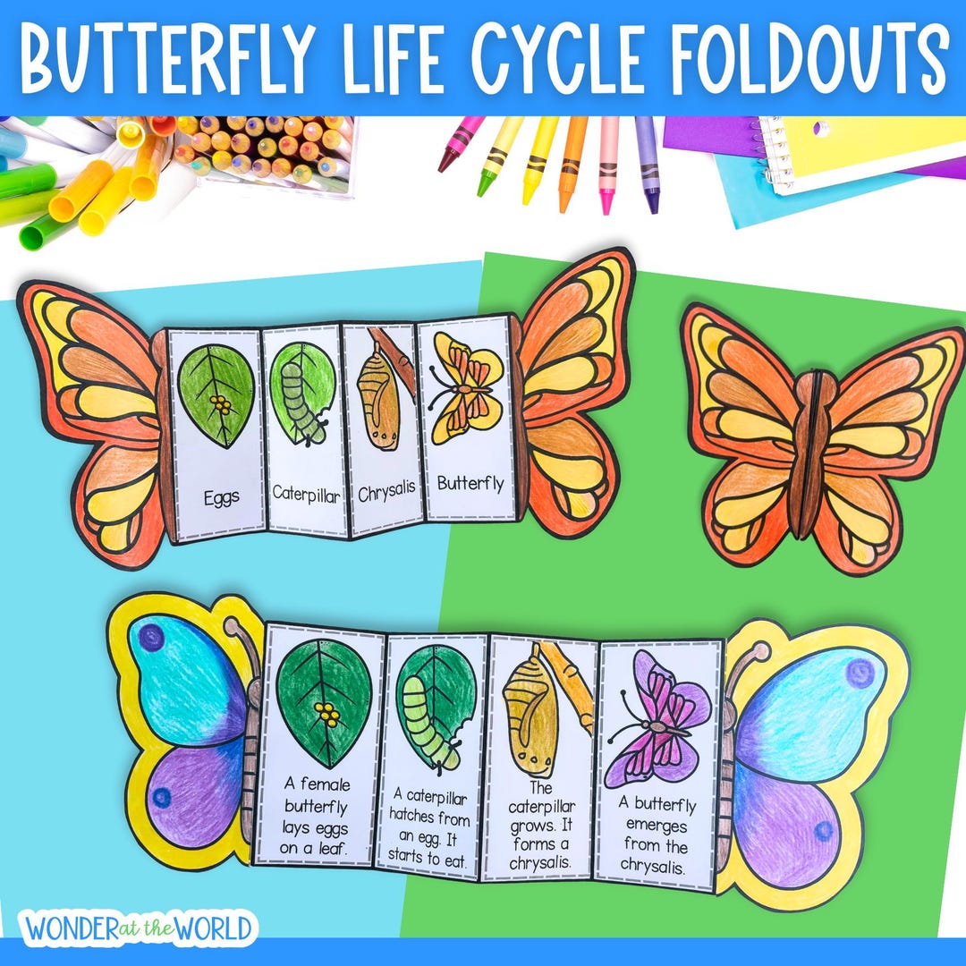 Life Cycle of a Butterfly Sequence and Fold Kids' Science Craft | A4 ...