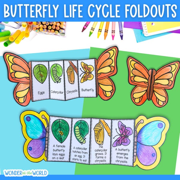 Life Cycle of Butterfly Model - Etsy New Zealand