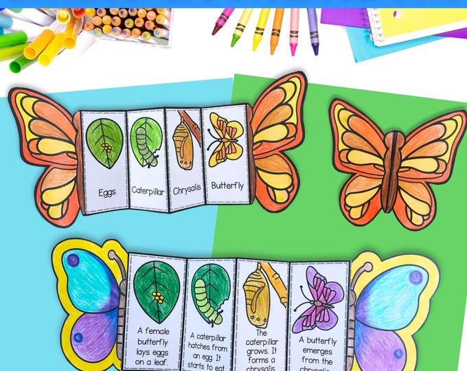 Life Cycle of a Dinosaur Foldable Activity for Kids | Dinosaur ...