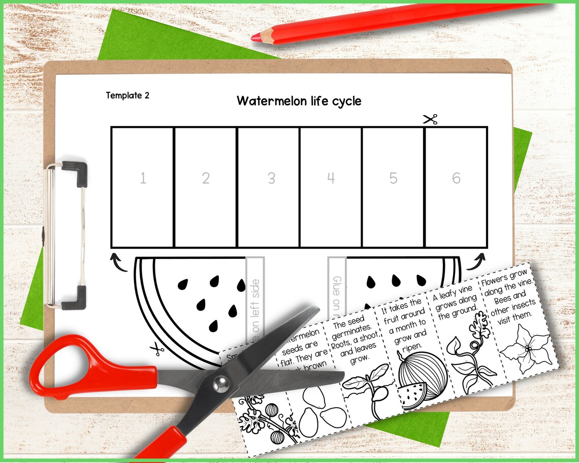 Life Cycle of a Watermelon Plant Foldable Kids' Craft A4 - Etsy