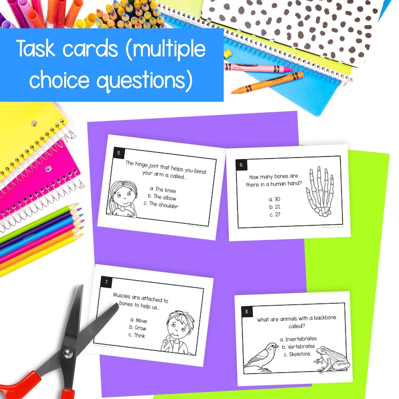Human Skeleton and Bones Skeletal System Lesson With Slides Printables ...