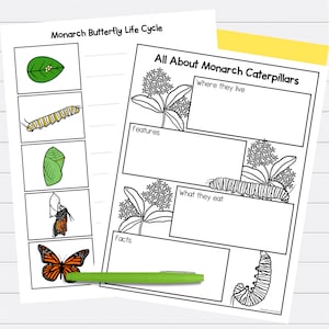Monarch Butterflies Lesson Study Project With Google Slides Slideshow ...