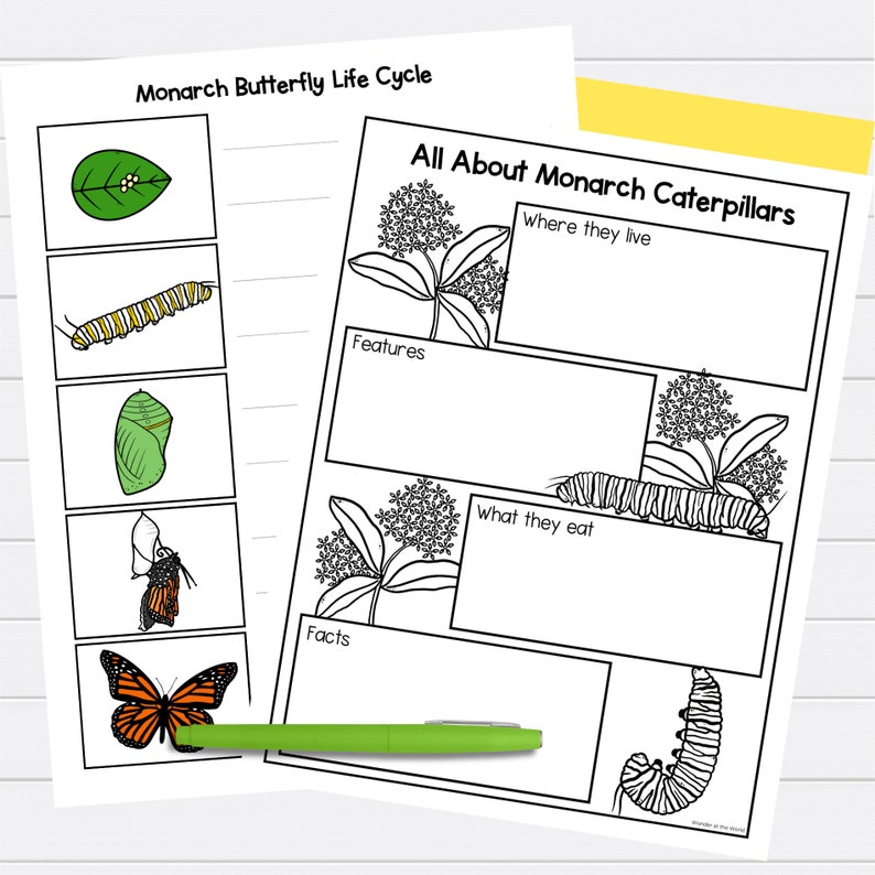 Monarch Butterflies Lesson With Google Slides Slideshow and Printable ...