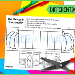 Life Cycle of a Pumpkin Foldable Activity for Kids A4 and 11x8.5 Inch ...