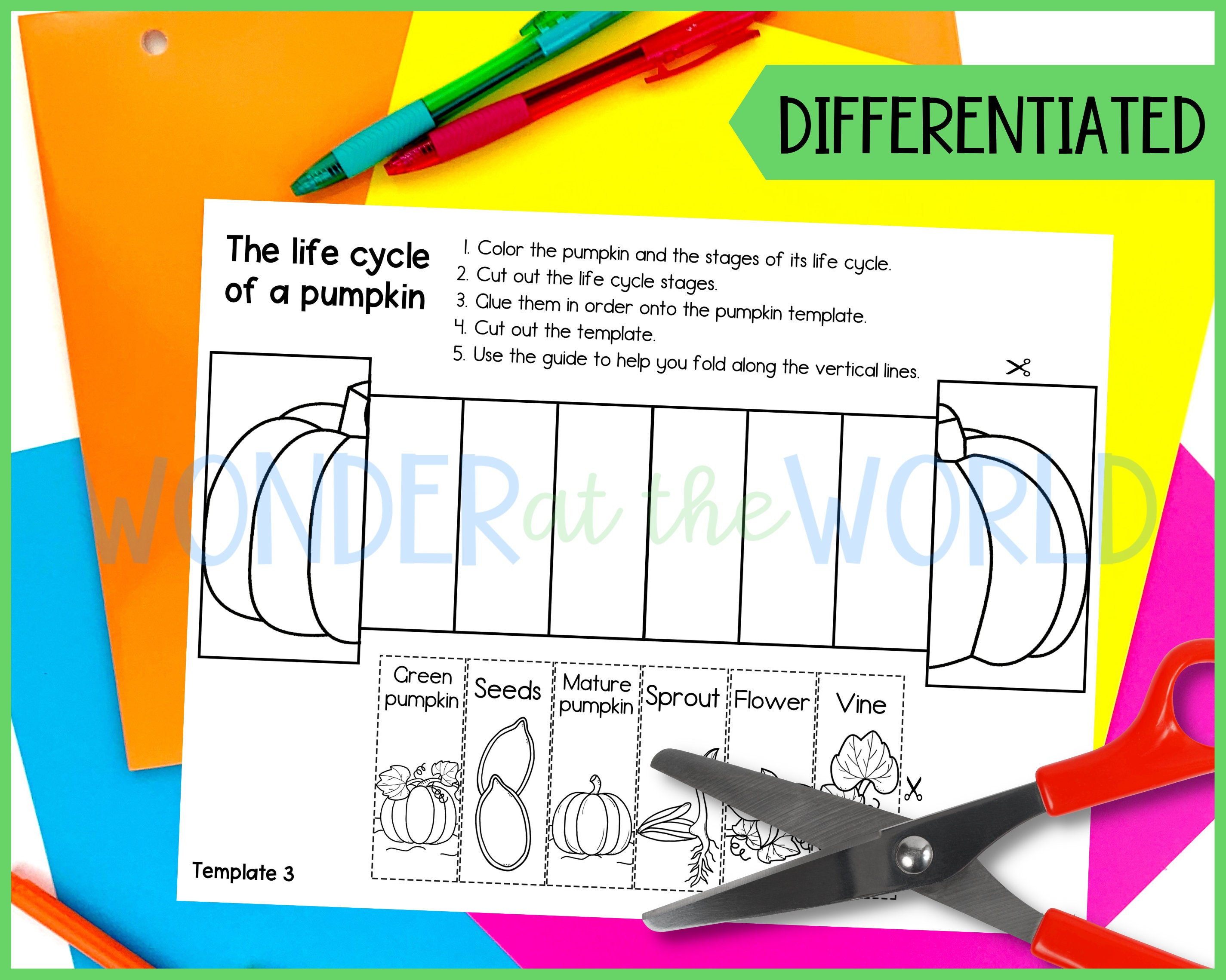 Life Cycle of a Pumpkin Foldable Activity for Kids A4 and - Etsy