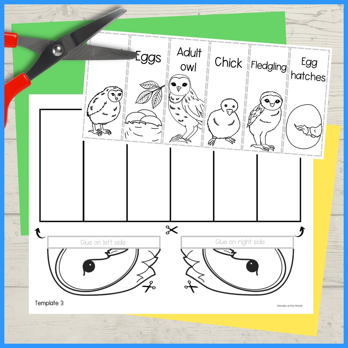 Bird Life Cycles Foldable Science Craft Activities for Owl, Chicken ...