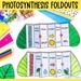 Photosynthesis Foldable Activities Cut and Paste for Interactive Science Notebooks PDF Digital ...