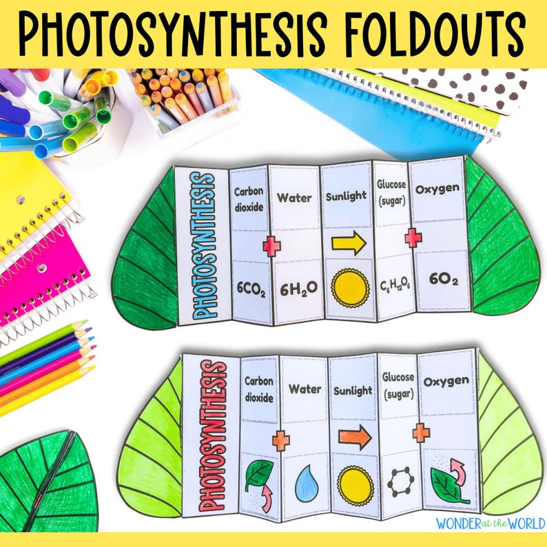 Photosynthesis Foldable Activities Cut and Paste for Interactive ...