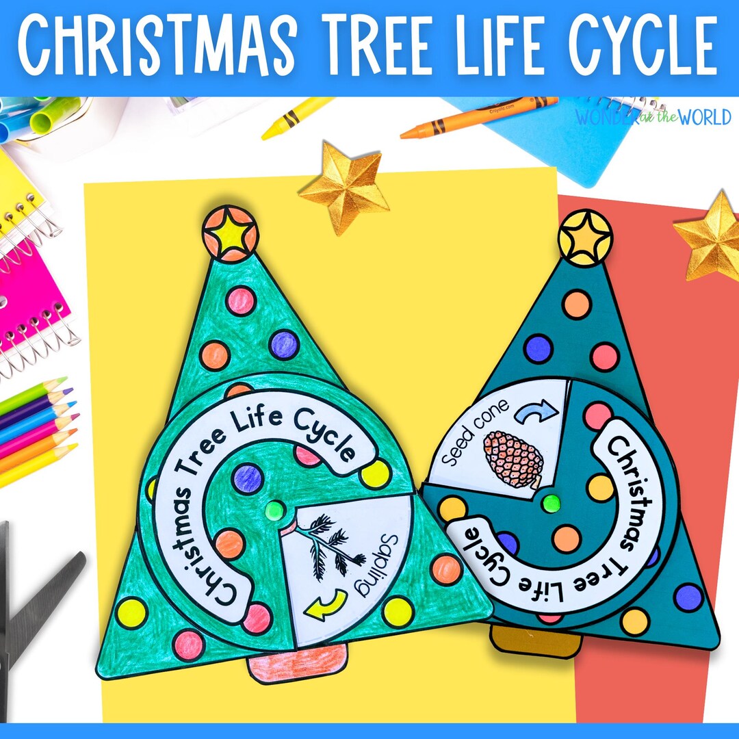 Life Cycle of a Coniferous Christmas Tree Sequencing Spinner Wheel ...