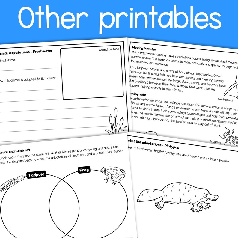 Animal Adaptations Freshwater Habitats Foldout Cut and Paste Activity ...