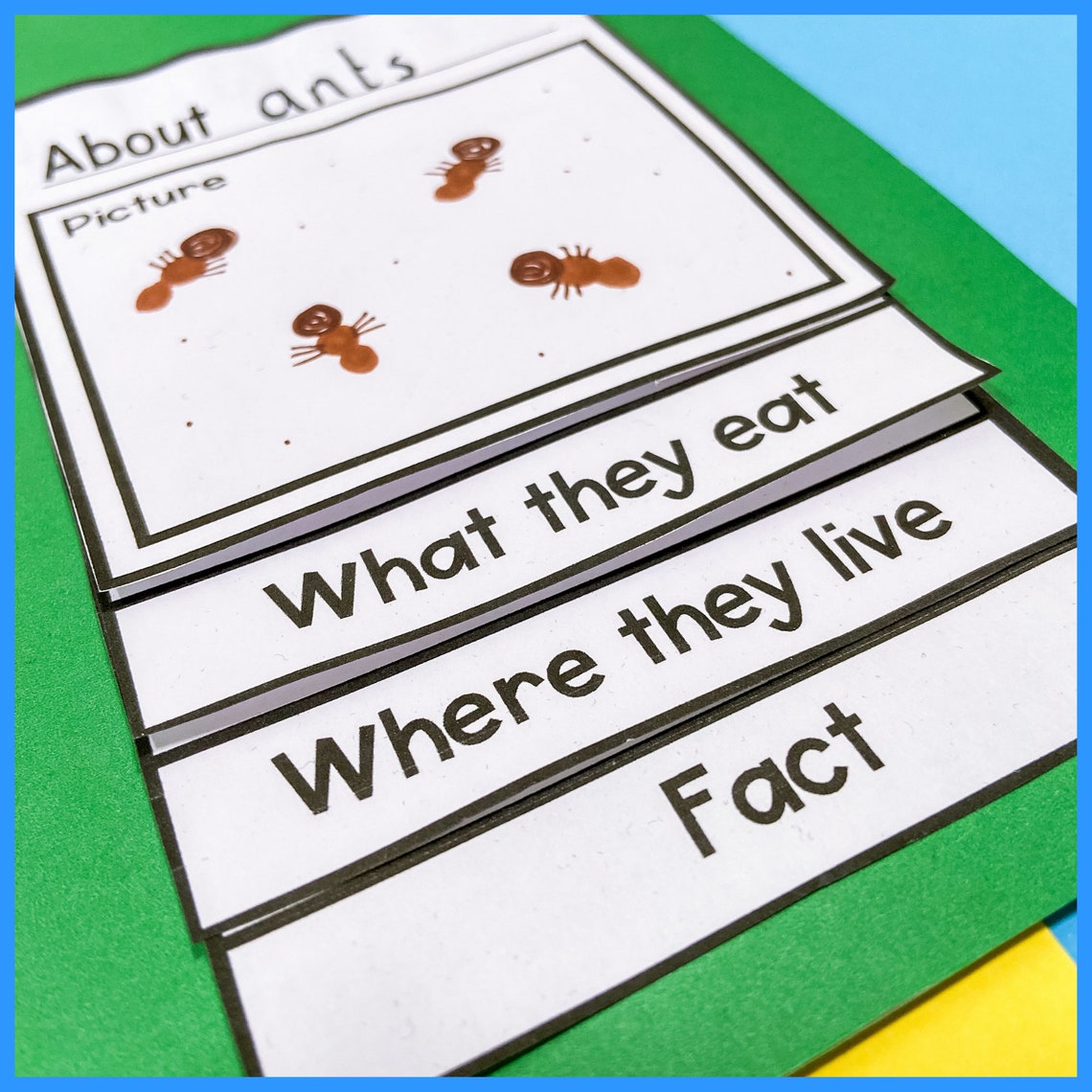 Insect Bugs Foldable Printable Lapbook Templates Digital - Etsy