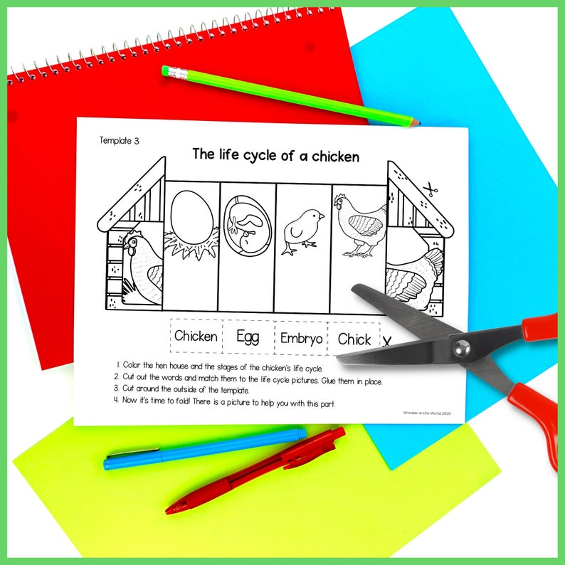 Bird Life Cycles Foldable Science Craft Activities for Owl, Chicken ...