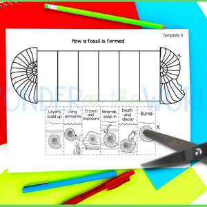How a Fossil is Formed Printable Craft Activity and Sequencing Cards PDF - Etsy