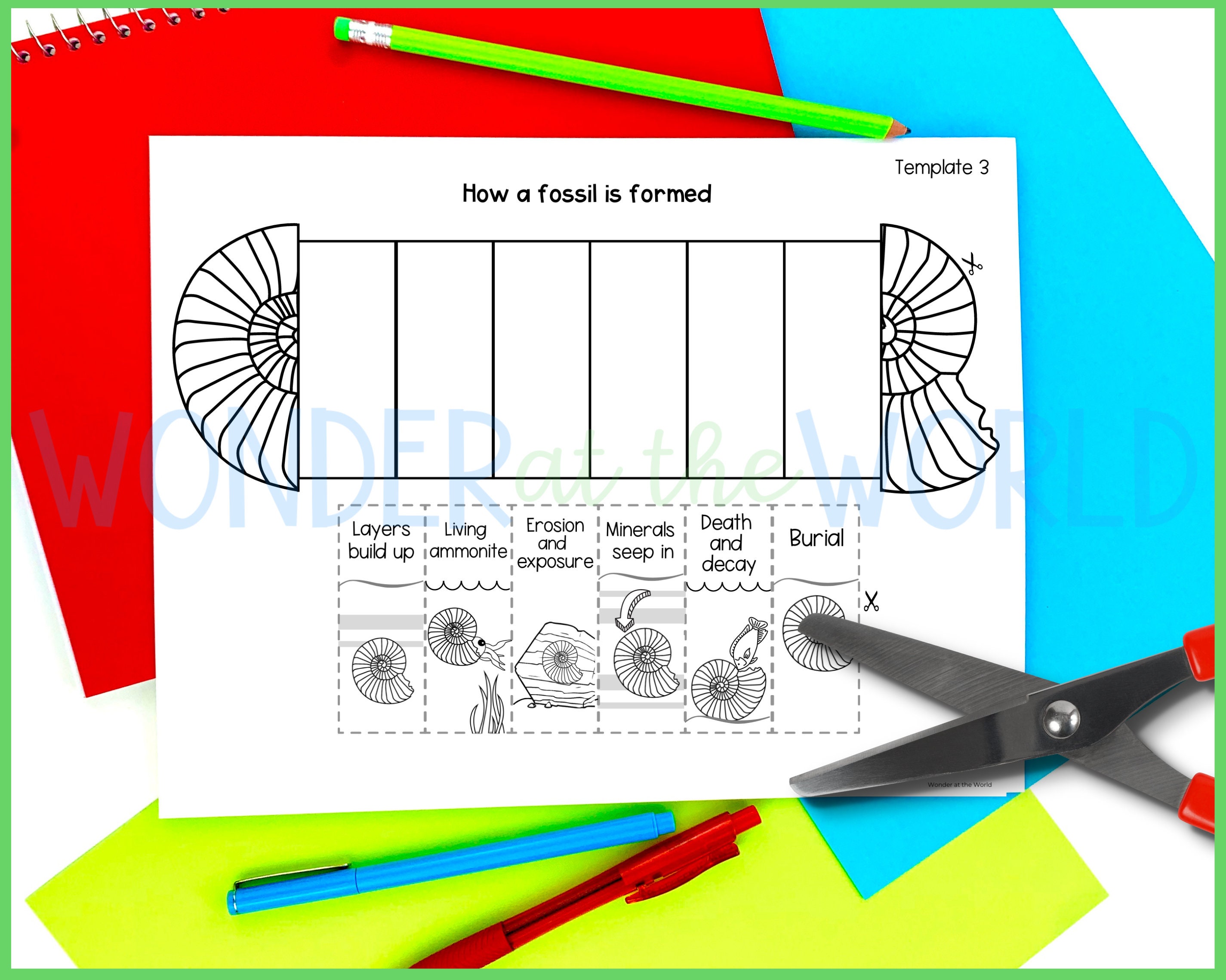 How a Fossil is Formed Printable Craft Activity and Sequencing Cards PDF - Etsy