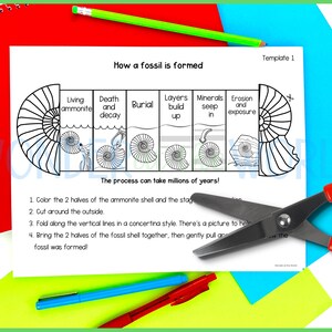 How a Fossil is Formed Printable Craft Activity and Sequencing Cards PDF - Etsy