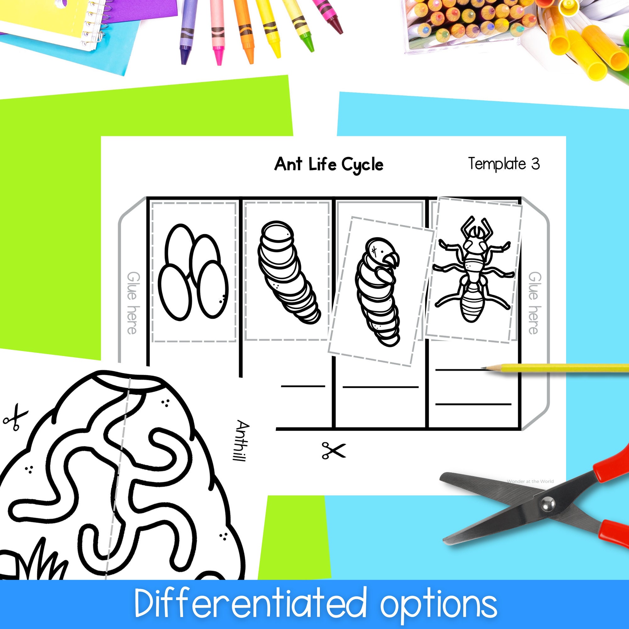 Life Cycle of an Ant Foldable Cut and Paste Science Activity and ...