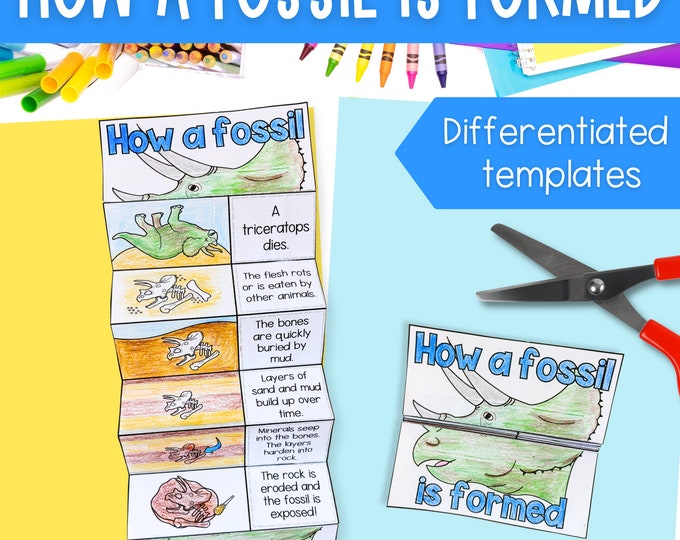 How a Dinosaur Fossil is Formed Foldable Sequencing Activity Printable ...