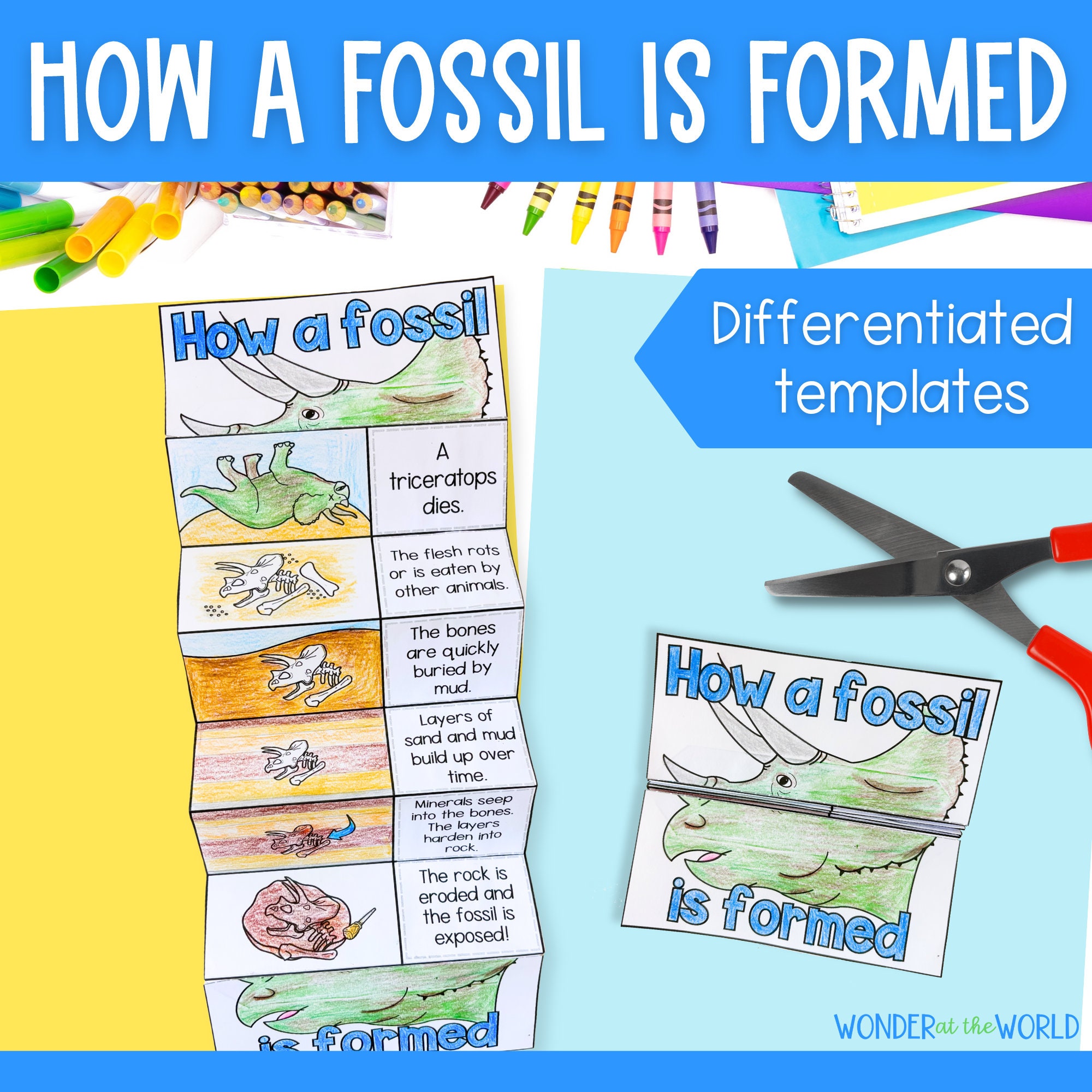 How A Dinosaur Fossil Is Formed Foldable Sequencing Activity Printable With Triceratops Digital