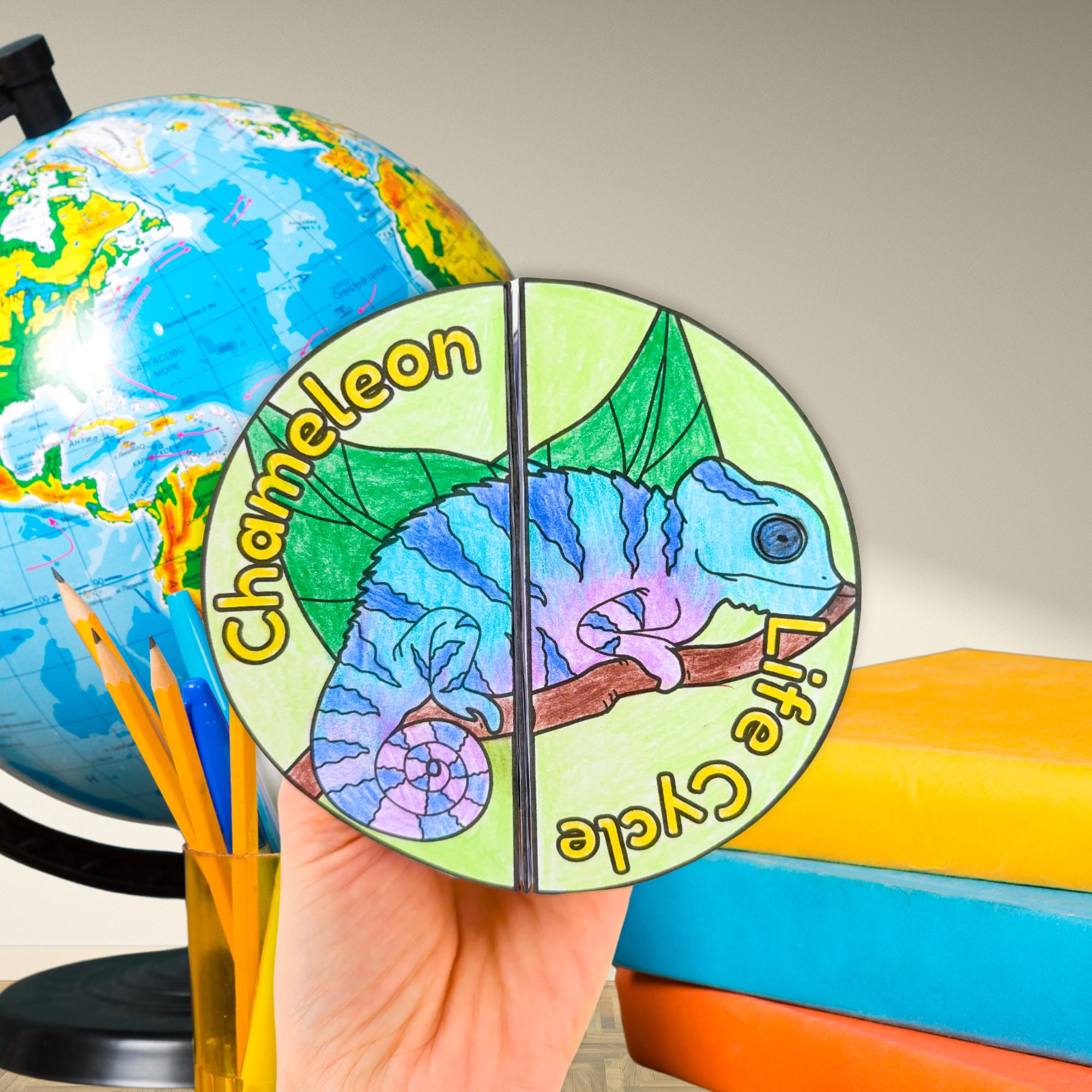 Life Cycle of a Chameleon Lizard Foldable Sequencing Activity Cut and ...