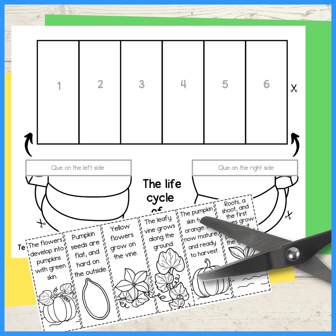 Fall Autumn Plant Life Cycles Foldable Science Activities - Etsy UK