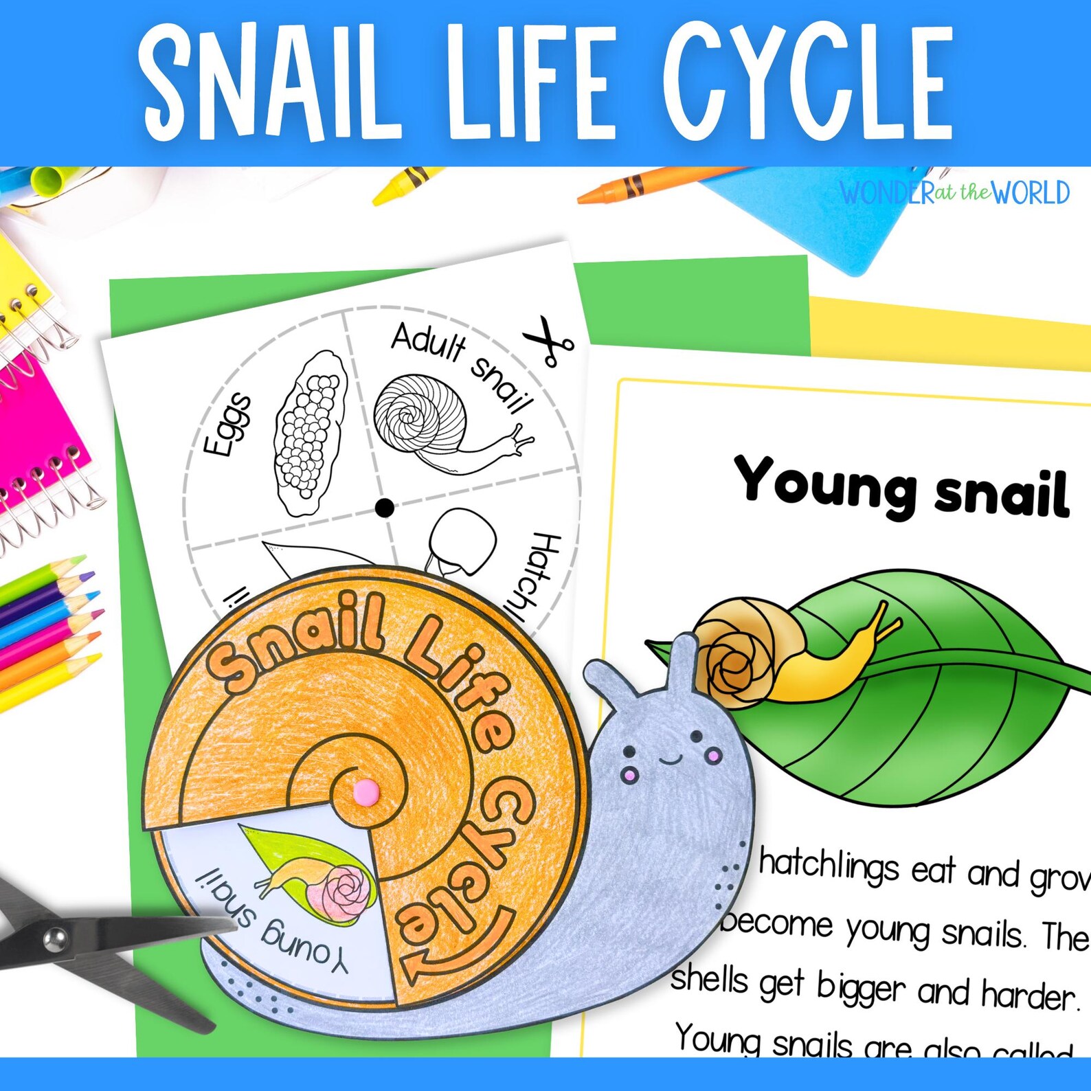 The Life Cycle of a Snail Spinner Wheel Science Sequencing Craft Cut ...