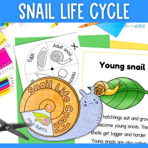 The Life Cycle of a Snail Spinner Wheel Science Sequencing Craft Cut ...