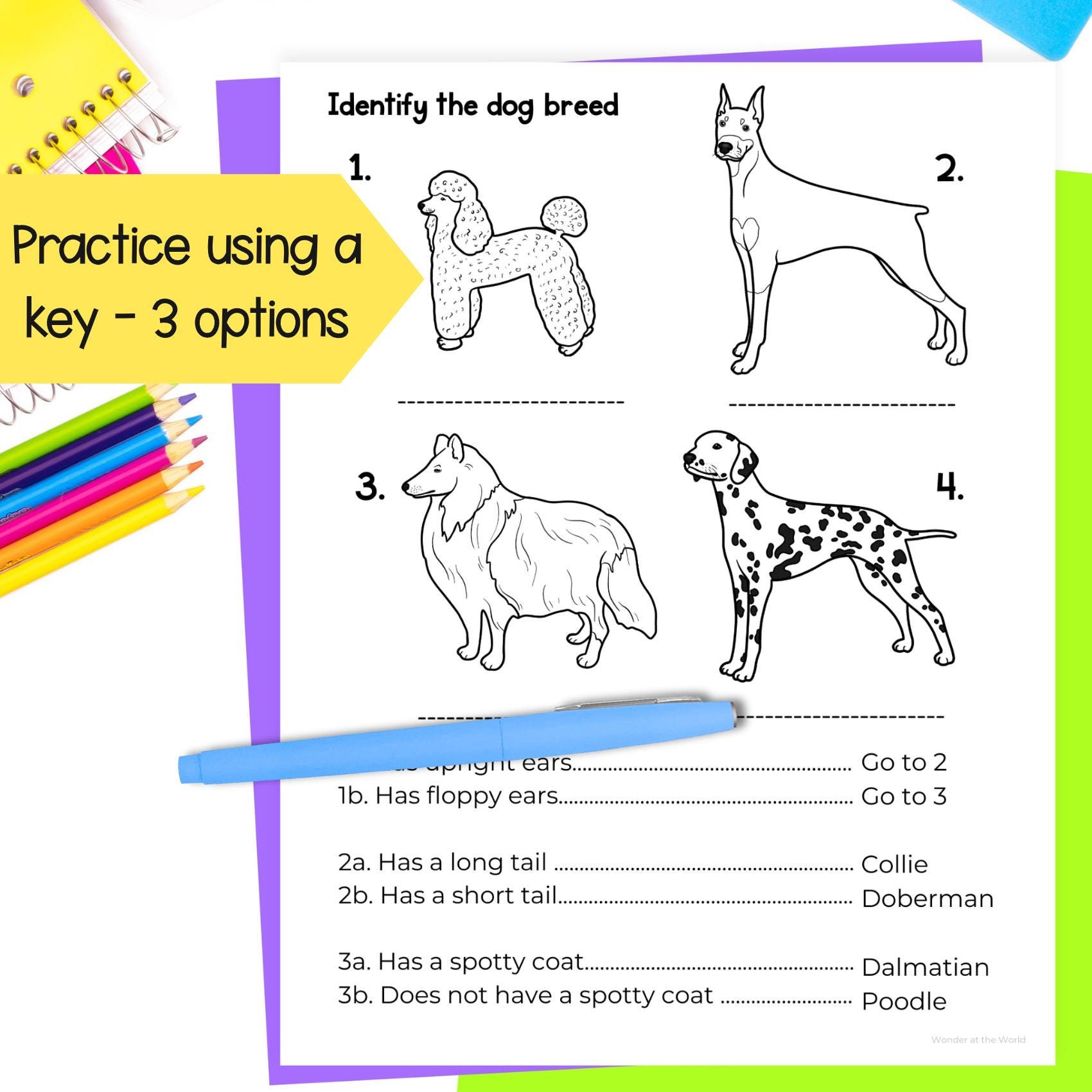 Dichotomous Keys Activities Worksheets for Elementary or Primary ...