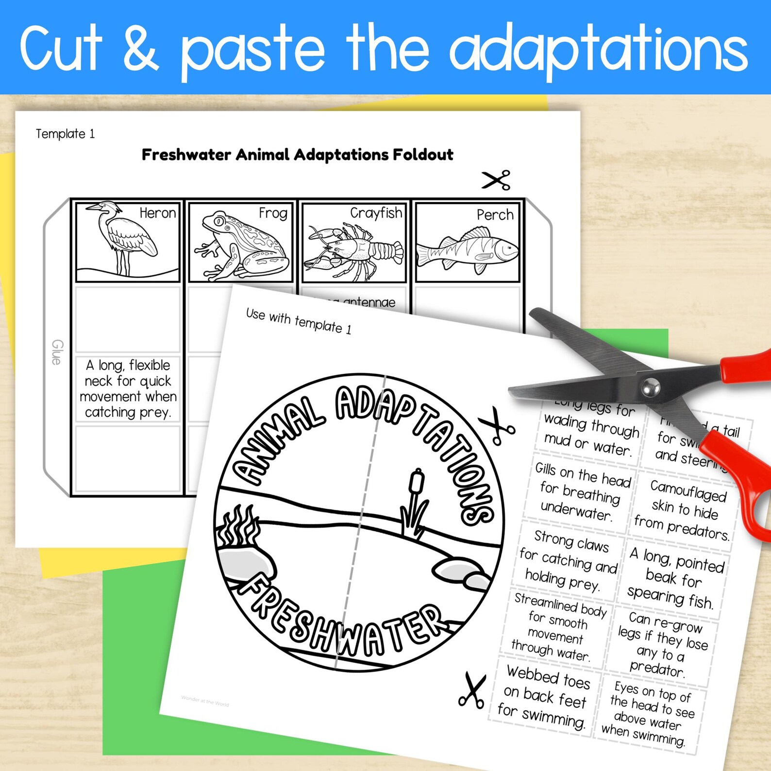 Animal Adaptations Freshwater Habitats Foldout Cut and Paste Activity ...