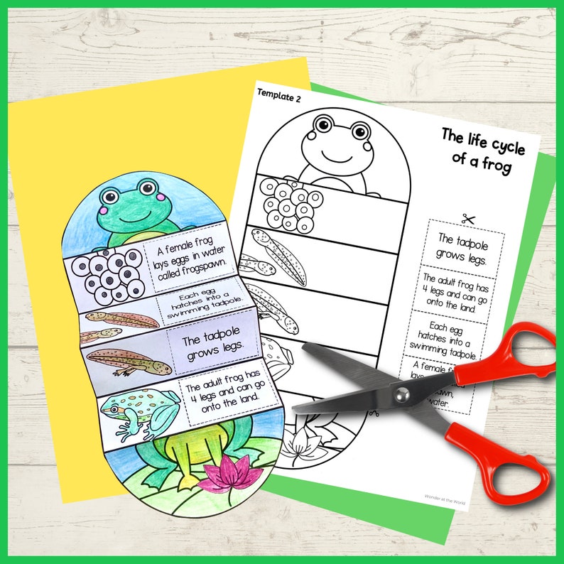 Life Cycles Foldable Science Cut and Paste Activities Butterfly Bean ...