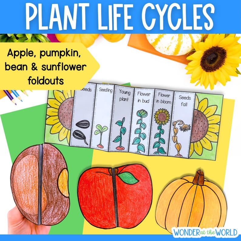 Plants Life Cycles Sequence and Fold Science Activities for Apple ...