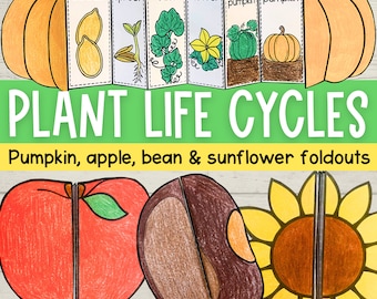 Foldable Duck Life Cycle Learning Activity for Kids A4 and 11x8.5 Inch ...