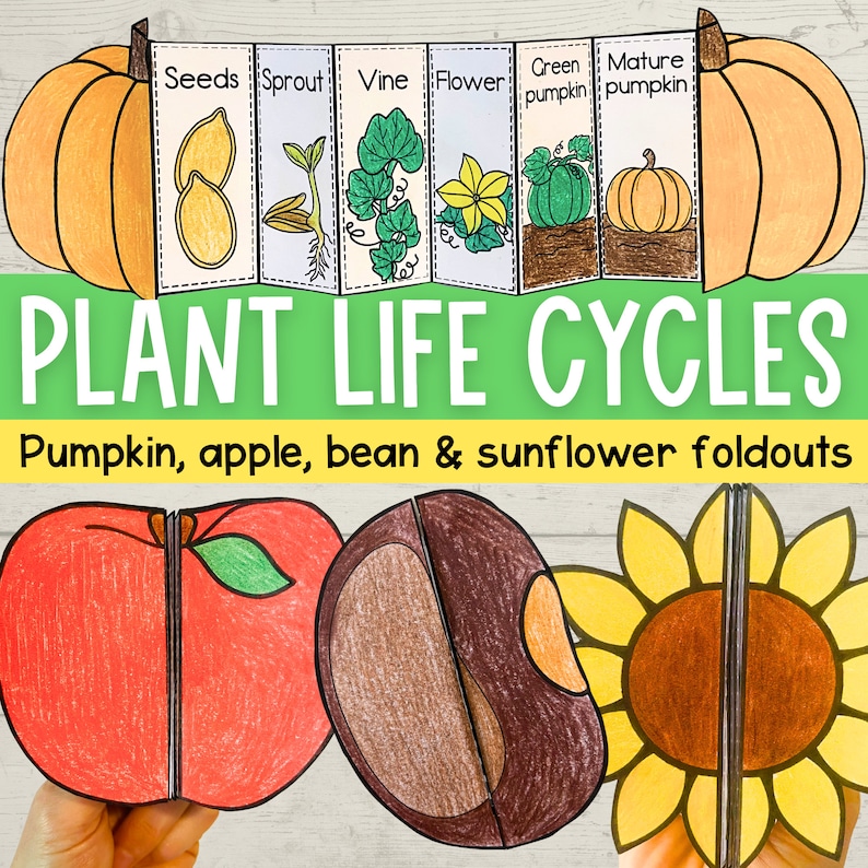 Plants Life Cycles Foldable Science Activities Apple Pumpkin Sunflower ...
