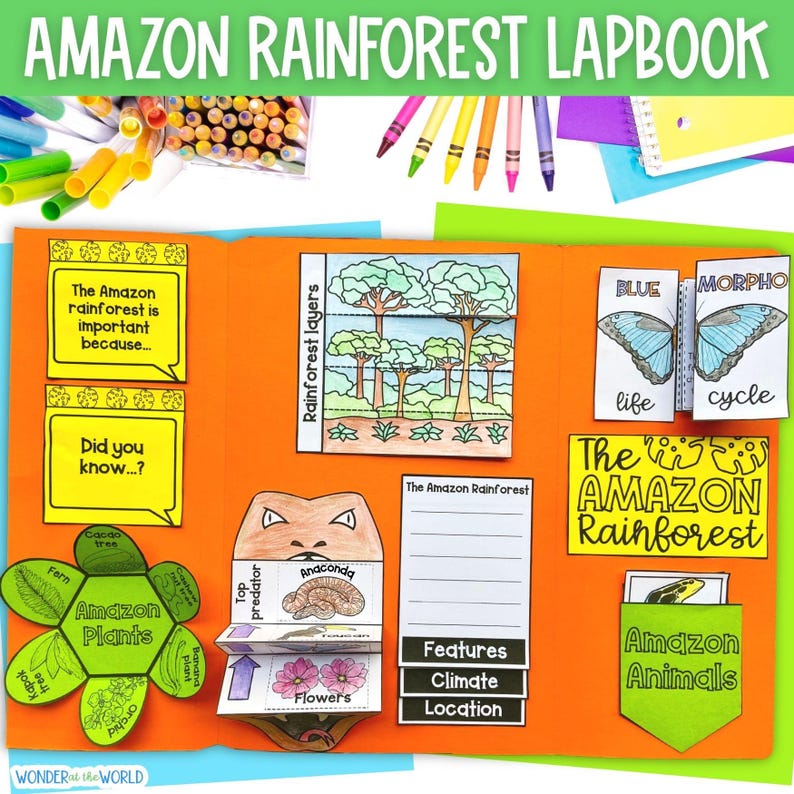 Amazon Lapbook Foldable Printable Templates | Digital Download | Kids ...
